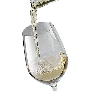 ZWILLING J.A. HENCKELS 6 Piece Predicat Burgundy Glass Set, 13.6 oz, White