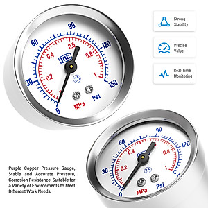 TAILONZ PNEUMATIC 1/4 Inch NPT Air Filter Pressure Regulator Combo Piggyback, Air Tool Compressor Filter with Gauge AW2000-02