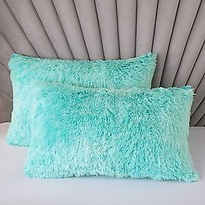 EMME Plush Shaggy Duvet Cover Set Twin Size Fluffy Fuzzy Comforter Cover Set for Twin Bed 2 Pieces Luxury Soft Bedding Duvet Covers (Aqua, Twin)