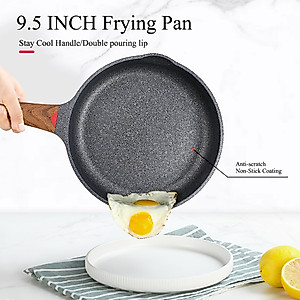 Vinchef Nonstick Frying Pan Anti Scratch,9.5 Inch Skillet Cast Aluminum Cookware, Induction Compatible