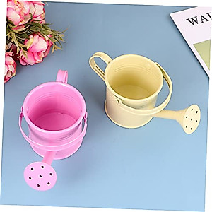 4 pcs Micro Toys Flower pots Outdoor Flowers Plants Decorative Watering can Garden Watering Bucket Cute Watering can with Long Mouth Spray Bottle jug Kettle Iron Bottle Happyyami