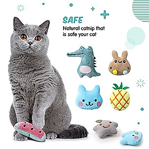 20 Pieces Catnip Toys for Indoor Cat Plush Cat Chew Toys Cute Kitten Catnip Toys Cat Pillow Toys Kitten Entertaining Toys Interactive Cat Toys in 20 Different Cute Shapes Design for Cat Kitten Kitty