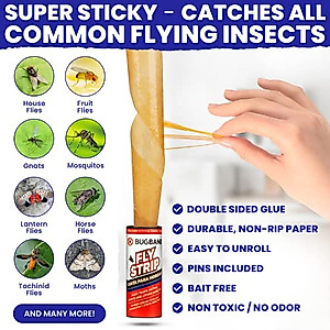 10 Fly Strips Indoor Sticky Hanging with Pins. Fly Trap Fly Paper Strips Indoor Hanging Fly Tape for Indoors and Outdoor. Fly Catcher Fly Ribbon Sticky Fly Traps for Indoors Flypaper. Fruit Gnat Traps