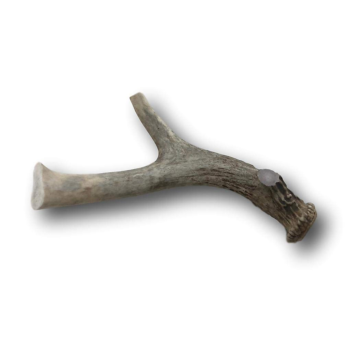 Top Dog Chews Large 6"-9" Long -Antler Dog Chew From Single Antler
