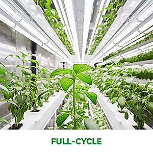 Monios-L LED Grow Light Strips,Full Spectrum Sunlight White, 3FT T5 90W(6X15W,500W Equivalent) for Indoor Plants,Grow Bars with Individual Switch for Herbs/Hydroponics/Succulents,6-Pack