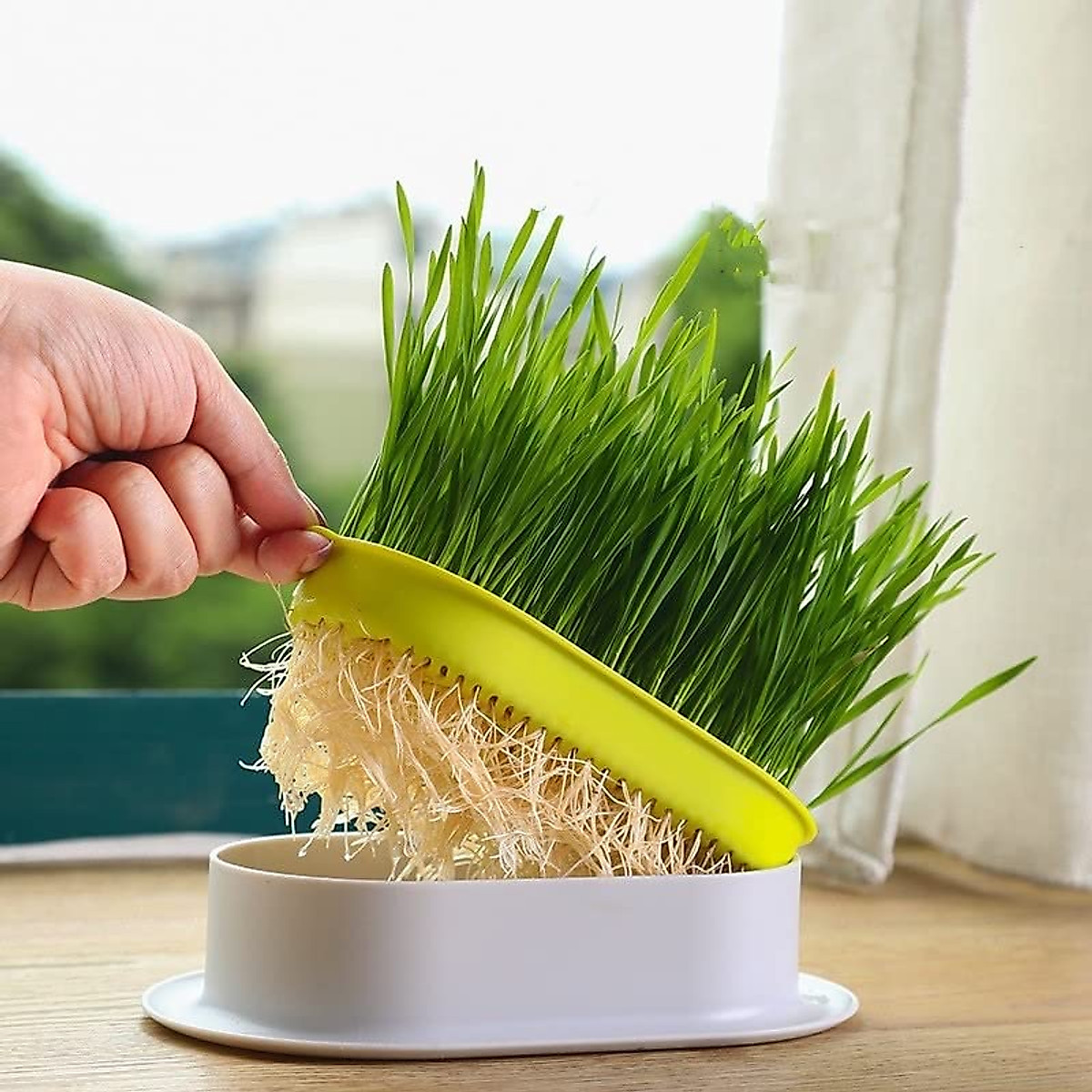 BATDIYOW Seed Sprouter Tray with Drain Holes Wheatgrass Grower Sprouting Container for Garden Home