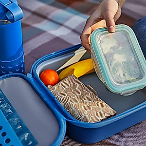 Hydro Flask Kids Small Insulated Lunch Box Firefly