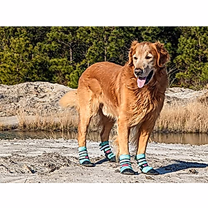 All Weather Neoprene Paw Protector Dog Boots with Reflective Straps in 5 Sizes! (Turquoise Large)