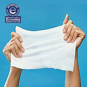 The Honest Company Clean Conscious Wipes | 100% Plant-Based, 99% Water, Baby Wipes | Hypoallergenic, Dermatologist Tested | Geo Mood, 288 Count