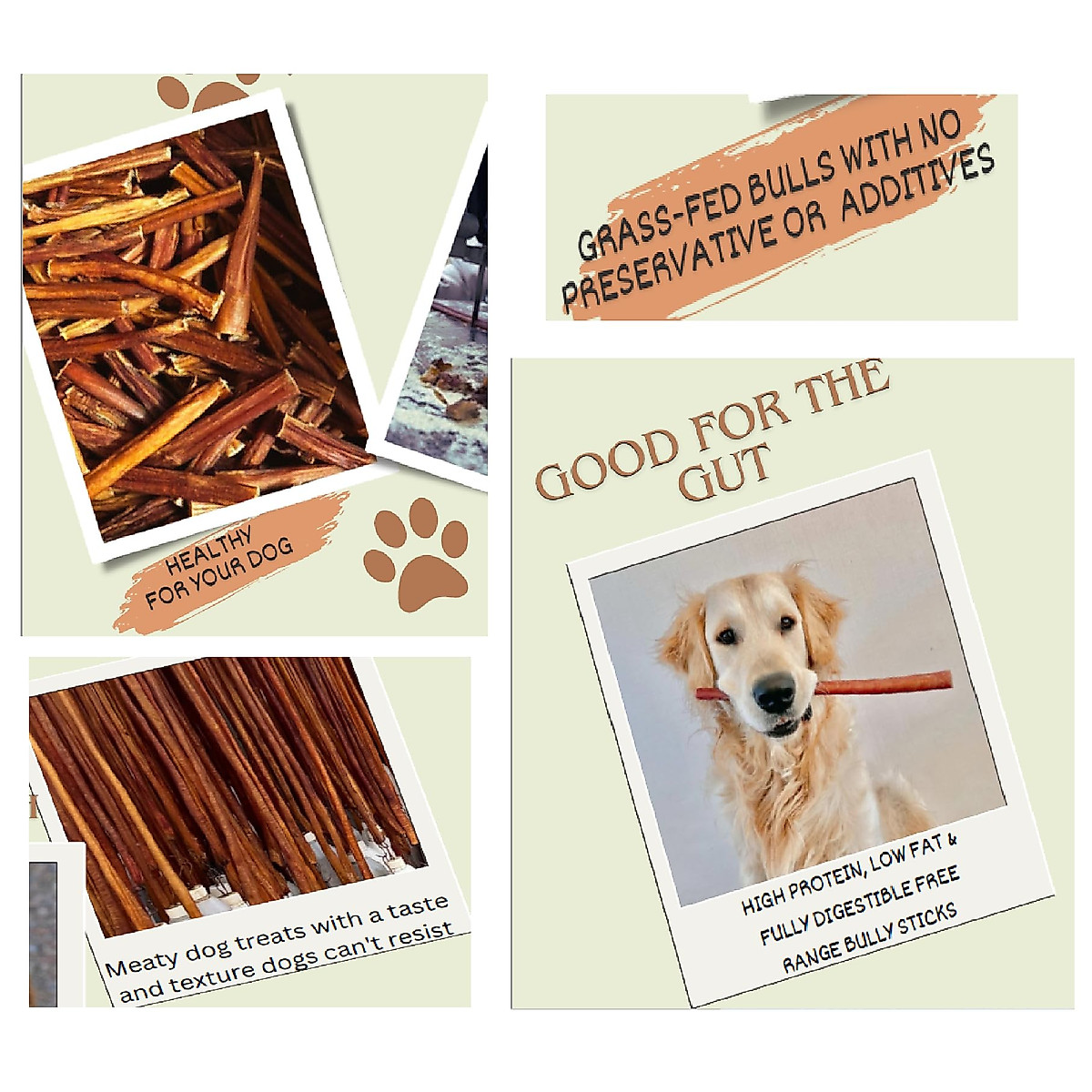 ELITE TREAT Natural Odor Bully Sticks for Dogs，Healthy Long Lasting Pizzle Chews (6 Inch, 24 Pack)，All Natural，Free Range 100% Grass-Fed Beef，Grain-Free (Medium/Thin)