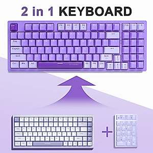 HUO JI Mechanical Gaming Keyboard USB Wired Compact with Number Pad, Purple Led Backlit, Red Switch, Detachable Type C Cable, 94 Keys for PC/Computer/Laptop, Purple and White