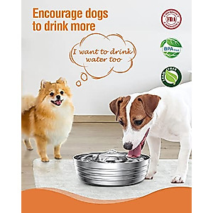 oneisall Cat Water Fountain,3.6L /123OZ Automatic Stainless Steel Pet Water Fountain for Dog Cat,Dog Water Bowl Dispenser with Ultra-Quiet Pump for Multiple Pets
