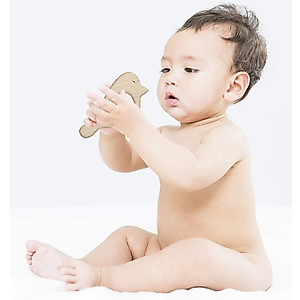 Penta Angel 10Pcs Wood Teething Rings Pain Relief Natural Wood Teething Toys Wooden Teether Animals for Infant Toddler, Turtles Swallows Dolphins Starfish Pigeons Birds Woodpeckers Fish Turtle