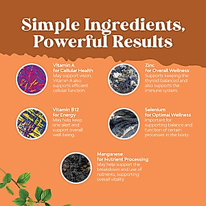 High Absorption Thyroid Support Supplement - Vegan Liquid Iodine Supplements for Thyroid Support for Women and Men with Myo-Inositol Selenium and Stinging Nettle for Enhanced Energy and Focus