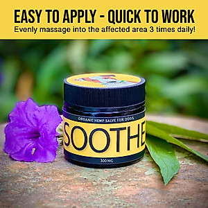 Hemp Dog Health - Soothe - Hemp Salve for Natural Dog Allergy Relief & Everyday Bug Bite & Hot Treatement for Dogs - Made with Natural Extracts & Human-Grade Hemp Oil for Dogs