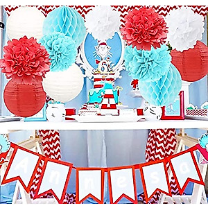 Dr. Seuss The Cat in The Hat Birthday Decorations/Thing 1 and Thing 2 Party Decorations/Dr. Seuss Baby Shower Decorations Blue White Red/Circus Carnival Party Decorations/2023 Nurse Graduation