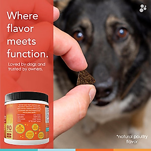 Chew Vitamins for Dogs (90 ct), Glucosamine for Joint Support with Antioxidants, Omega-3 & Vitamins for Skin, Liver and Heart Health - Spectrin