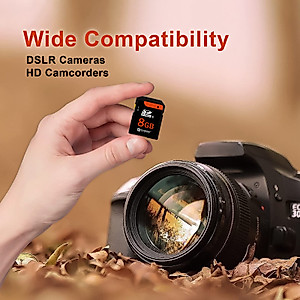 Synergy DIgital Camera Memory Card, Compatible with Canon Powershot A550 Digital Camera Memory Card 8GB Secure Digital High Capacity (SDHC) Memory Card