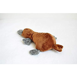 TAMMYFLYFLY 8.6" Realistic Platypus Soft Plush Pillow Kawaii Girls and Boys Stuffed Animals Toys Duckbill for Kids' Gifts (Duckbill) (American)