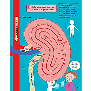The Human Body: Anatomy Facts and Activity Book for Kids Ages 5-9 with Experiments, Diagrams, Mazes, Coloring, Dot-to-Dots, and More! (Gold Stars Series)