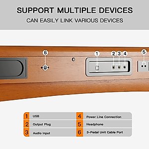 HEXANT 88- Key Hammer Weighted Digital Keyboard Piano, Wooden Electric Heavy Hammer Weighted Full Size Keyboard Piano, with 3-Pedal, MIDI Connection, Multi-Functional Keyboard and Stand