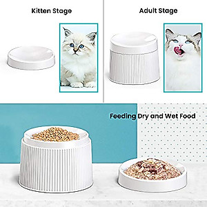 iPettie Elevated Cat Food Bowl Cat Dish, Tilted Pet Feeding Station with Stand for Small Dog, Made from Certified Food-Safe Plastics, Better Than Stainless Steel and Ceramic