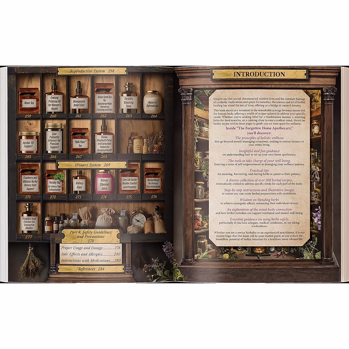 Forgotten Home Apothecary : 250 Powerful Remedies at Your Fingertips