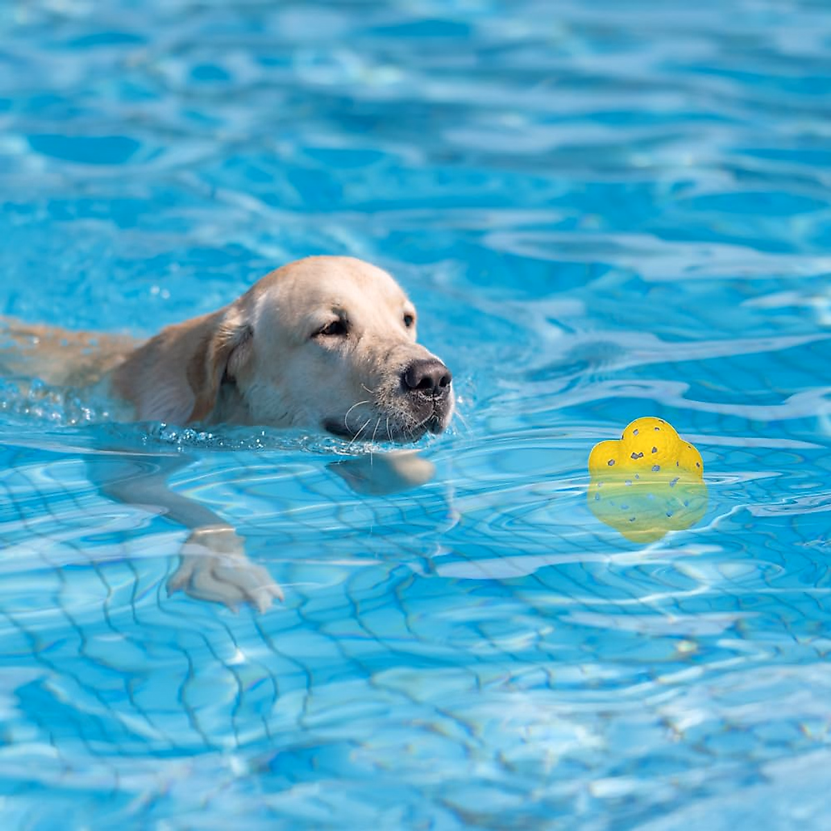 Calming Balls for Dogs, 2024 New Mellow Dog Calming Ball, Durable Chew Toys Tennis Ball Interactive Chewing Toys Calming Ball for Large Dog Medium Dog and Puppies (Round+Irregular)