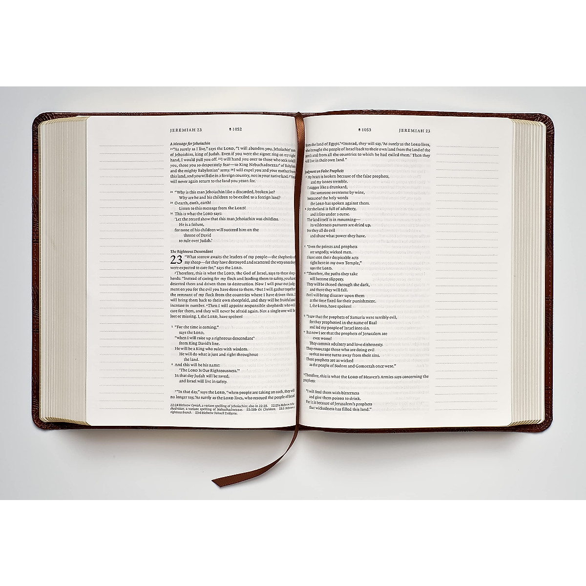 NLT Wide Margin Bible, Filament Enabled (LeatherLike, Dark Brown Palm, Red Letter)