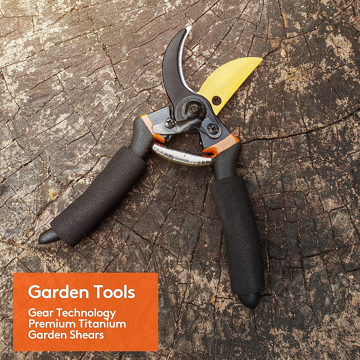 Bypass Pruning Shears for Garden - Effortless Pruning Shears for Grapevines, Bonsai Gardens - Trim Tree Branches and Flowers with Ease, with SK5 Steel Sharp Blades and Soft Cushion Grip Handle