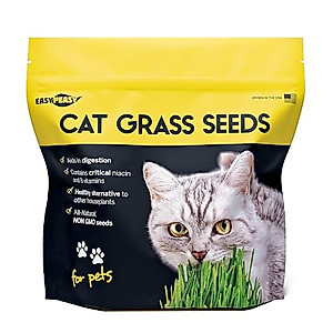 CATGRASS Seeds | Non GMO | Grown in USA | from Our Farm to Your Home (1POUND(16oz))