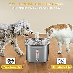 JCHOPE Cat Water Fountain Stainless Steel, 74oz/2.2L Automatic Circulating Pet Water Fountain with Faucet Design & 3 Flow Speeds, Ultra Quiet Cat Fountain Water Bowl with Triple Filter for Cats Dogs