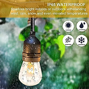 AONNYO 49FT Outdoor String Lights with 11W Edison Bulbs, Waterproof 15 Hanging Sockets with 15 Shatterproof LED Bulb Garden Light String, Create Ambience for Party, Backyard, Garden(49FT-WarmWhite)