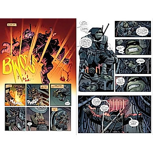 Teenage Mutant Ninja Turtles: The Last Ronin