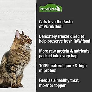 PureBites Chicken Breast & Catnip Freeze-Dried Cat Treats 1.3Oz / 37G | Value Size