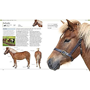 The Horse Encyclopedia (DK Pet Encyclopedias)