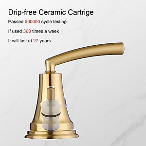 RKF Faucet- Replacement Lever Handles with Valve Faucet Accessory Faucet Parts Faucet Kit Brushed Gold B023