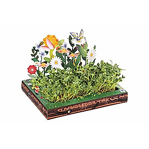 Modern Sprout Interactive Microgreens Garden Kit for Kids, Indoor Seed Activity Kit, for Little Growers, Pollinator Habitat