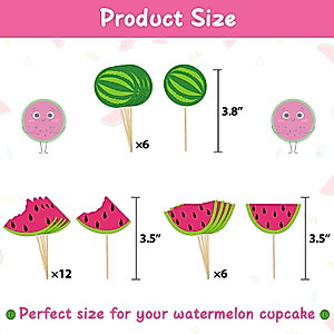 Watermelon Birthday Party Decorations One in A Melon Cake Topper Watermelon Cupcake Topper Melon Balloon 1st Bday High Chair Banner for Summer Fruit Themed First Birthday Party Supplies Glitter Decor