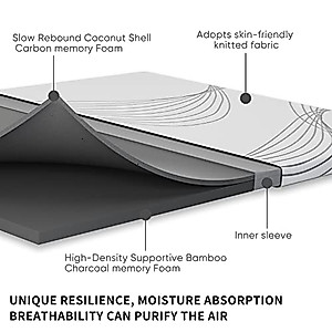 FLEXPEDIC Flippable 3 Inch Queen Size Mattress Topper, Coconut Shell Carbon Memory Foam and Bamboo Charcoal High Density Firm Foam with Removable Soft Fabric Cover, CertiPUR-US Certified