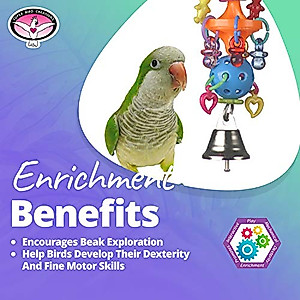 Super Bird Creations SB1083 Binky Bop Bird Toy, Medium Bird Size, 7.5" x 1.5"