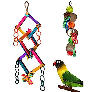 Fetch-It Pets 2 Pack Bird/Parrot Block Party & Fiesta Foraging Toys Suitable for Small Parrots, Parakeets, Cockatiel, Conures, Finches, Budgie, Macaws, Parrots, Love Birds