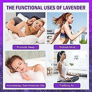 Timoo Dried Lavender Bundles 100% Natural Dried Lavender Flowers for Home Decoration, Photo Props, Home Fragrance, 2 Bundles Pack