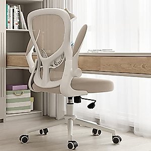 Hbada Ergonomic Office Chair with Up&Down Adjustable Lumbar Support and Flip Up Arm, Swivel Computer Desk Chair with Adjustable Height, Breathable Mesh Office Chair with PU Wheels, Gray