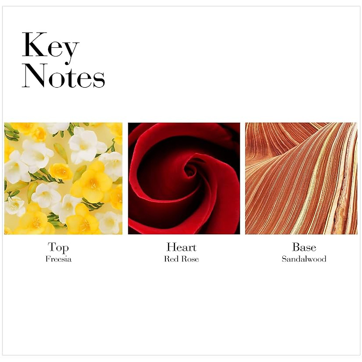 Elizabeth Arden Red Door, Body Powder for Women, Eau de Toilette, 5.3 Oz