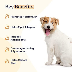 Pawfy dogs Skin & Coat Soft Chews | Allergies | Itching | Licking | Paw Biting | Scratching & More