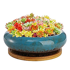Peohud Ceramic Succulent Pot, 7.2 Inch Large Succulent Planter Pot with Drainage Hole, Shallow Bonsai Pot with Bamboo Tray for Cactus Indoor Outdoor Plant