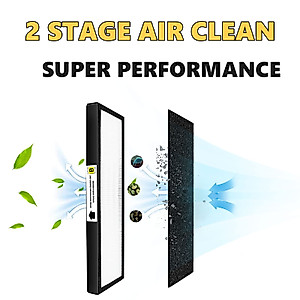 FCFMY 4 Packs FLT4825 True HEPA Filter B Replacement Compatible with AC4825 AC4300 AC4800 AC4900 AC4850, 4 HEPA Filter and 6 Carbon Pre Filters