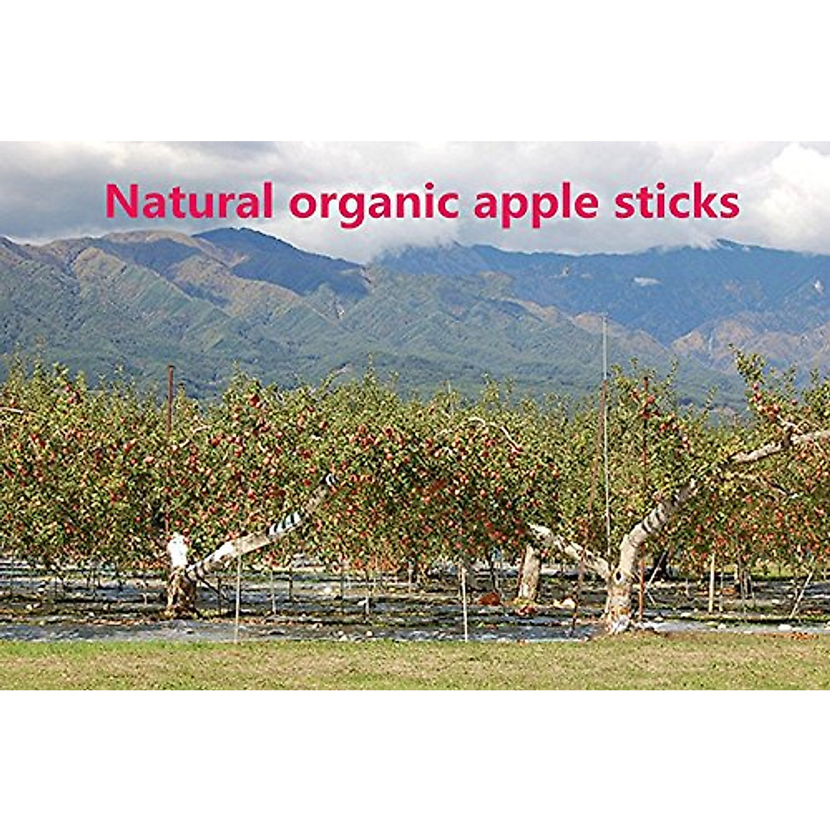MAOM Nature Apple Sticks Pet Food Wood Chew Toys for Guinea Pigs Chinchilla Rabbits Hamster