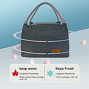 Mziart Lunch Bag for Women Men Reusable Lunch Bags Simple Lunch Tote Bag Modern Insulated Lunch Box Food Container Lunch Cooler Bag for Work Office Travel Picnic (Gray)